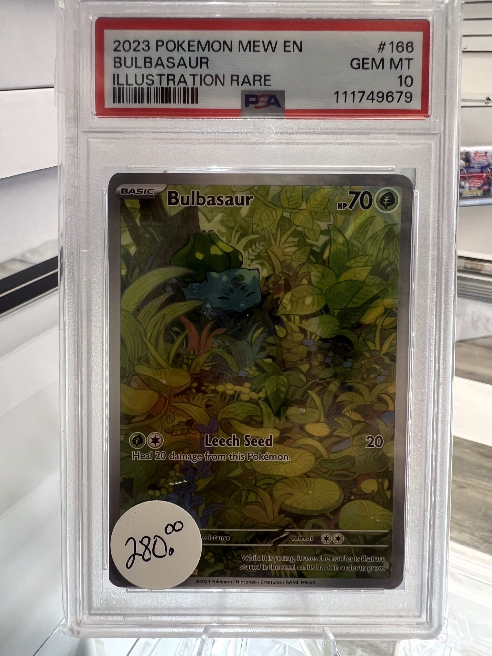 Sports Cards & Pokémon Collection | Carter's Sports Cards Gallery